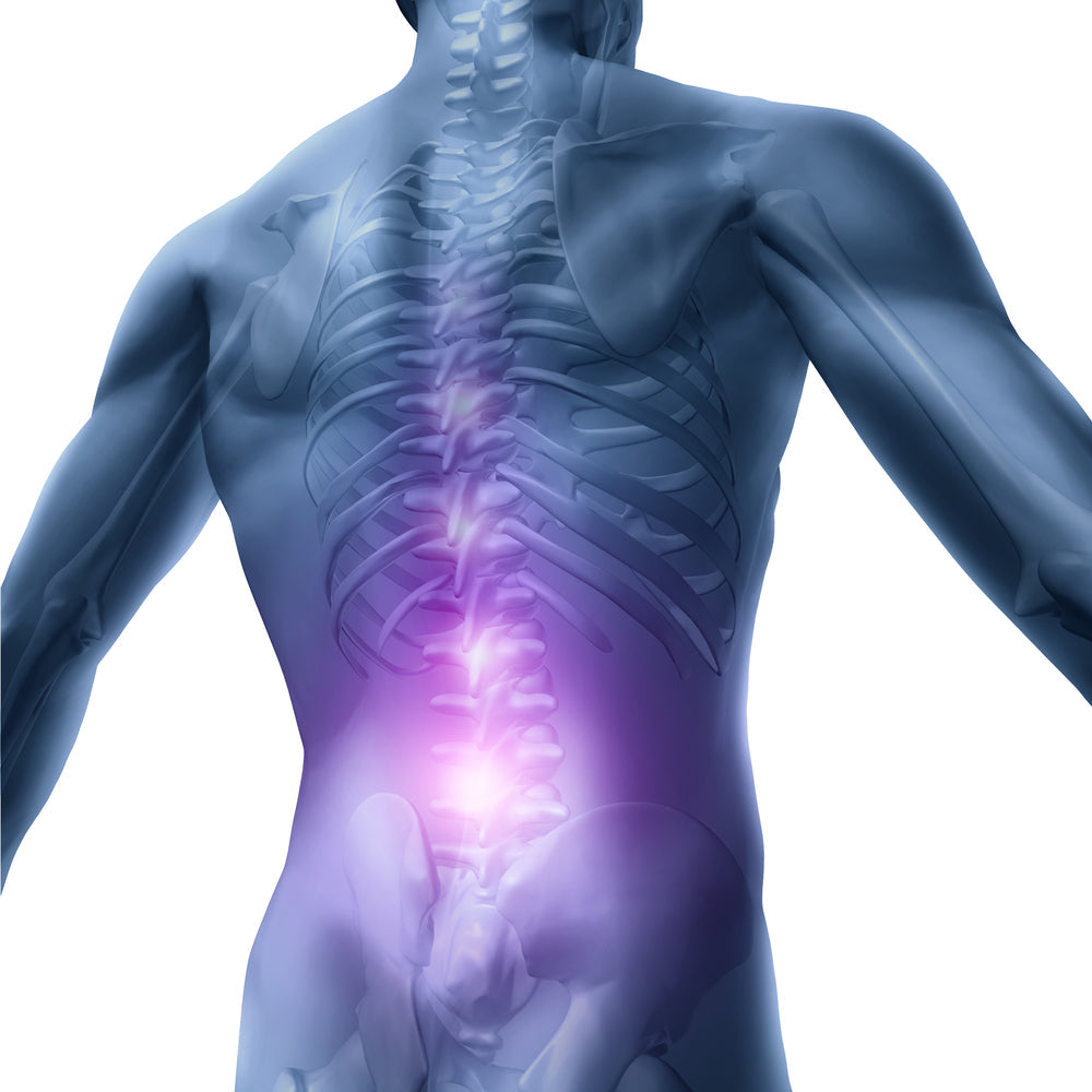 7 Best Lower Back Stretches for Before & After Workouts - Steel Supplements
