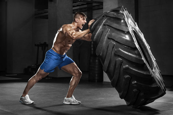 The 5 Biggest Muscles on Your Body (& Exercises for Each) - Steel ...