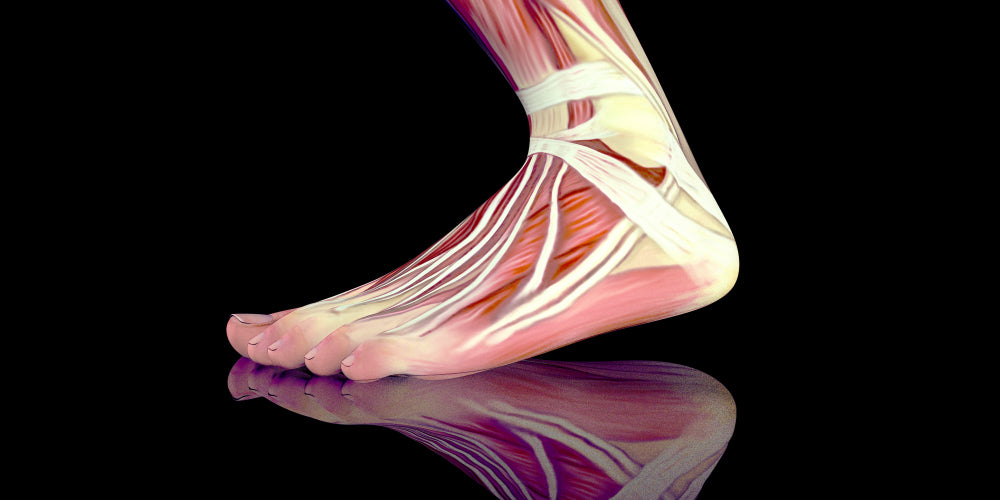 Foot Intrinsic Workout: 5 Exercises for Foot Strength - Steel Supplements