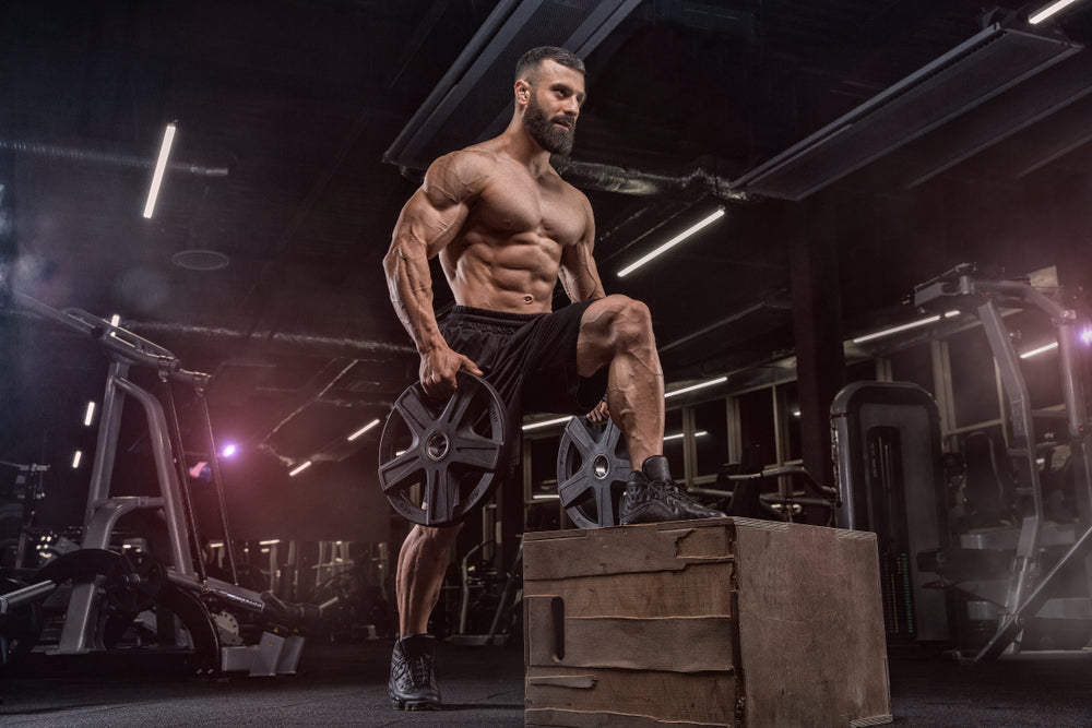 How to Workout the 6 Major Muscle Groups - Steel Supplements