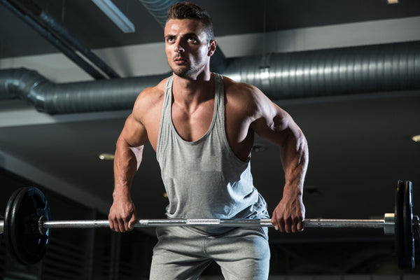How to Do Barbell Rows with Proper Form - Steel Supplements