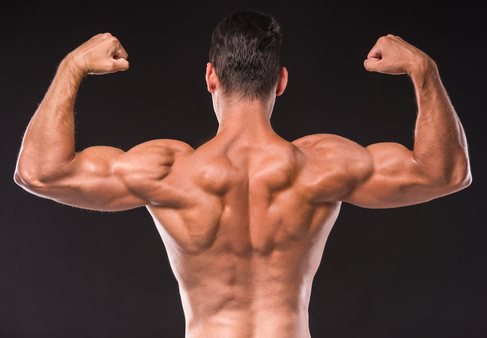 10 Best Dumbbell Back Exercises For A Barn Door Back - Steel Supplements