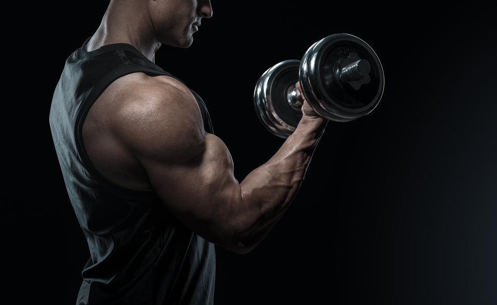 10 Best Bicep Curl Variations (from Easy to Hard) - Steel Supplements
