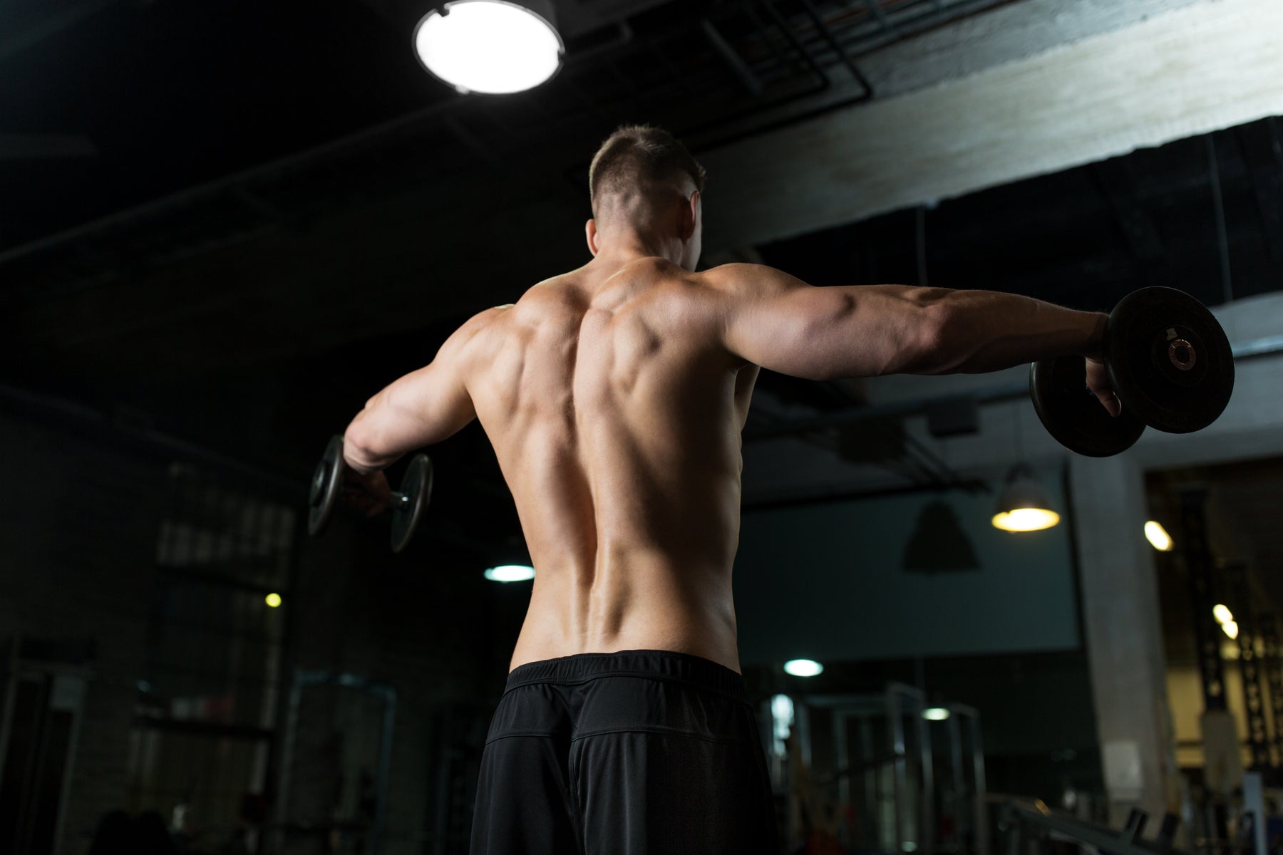 7 Best Rear Delt / Posterior Delt Exercises for Mass - Steel Supplements