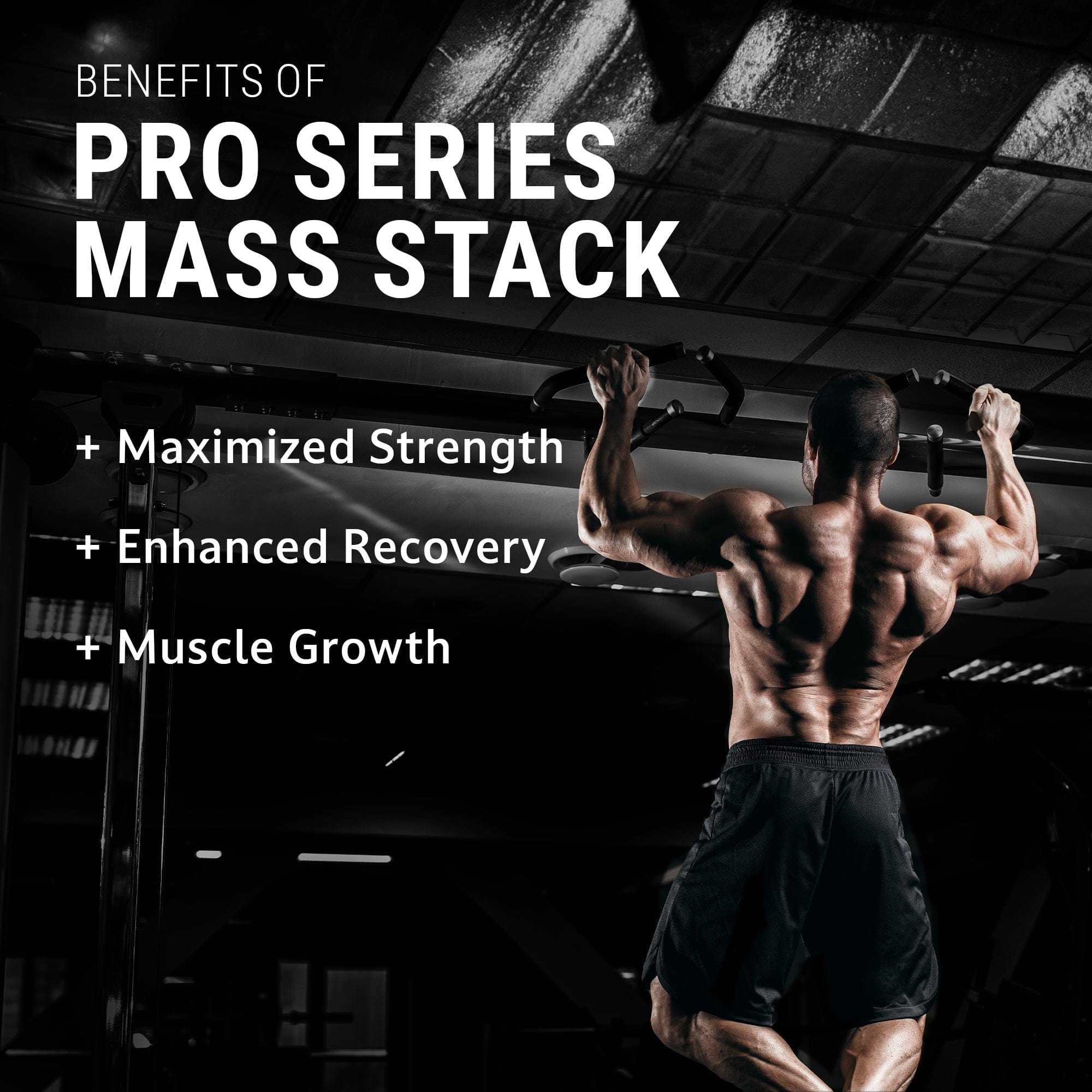 Pro Series Mass Stack - Steel Supplements