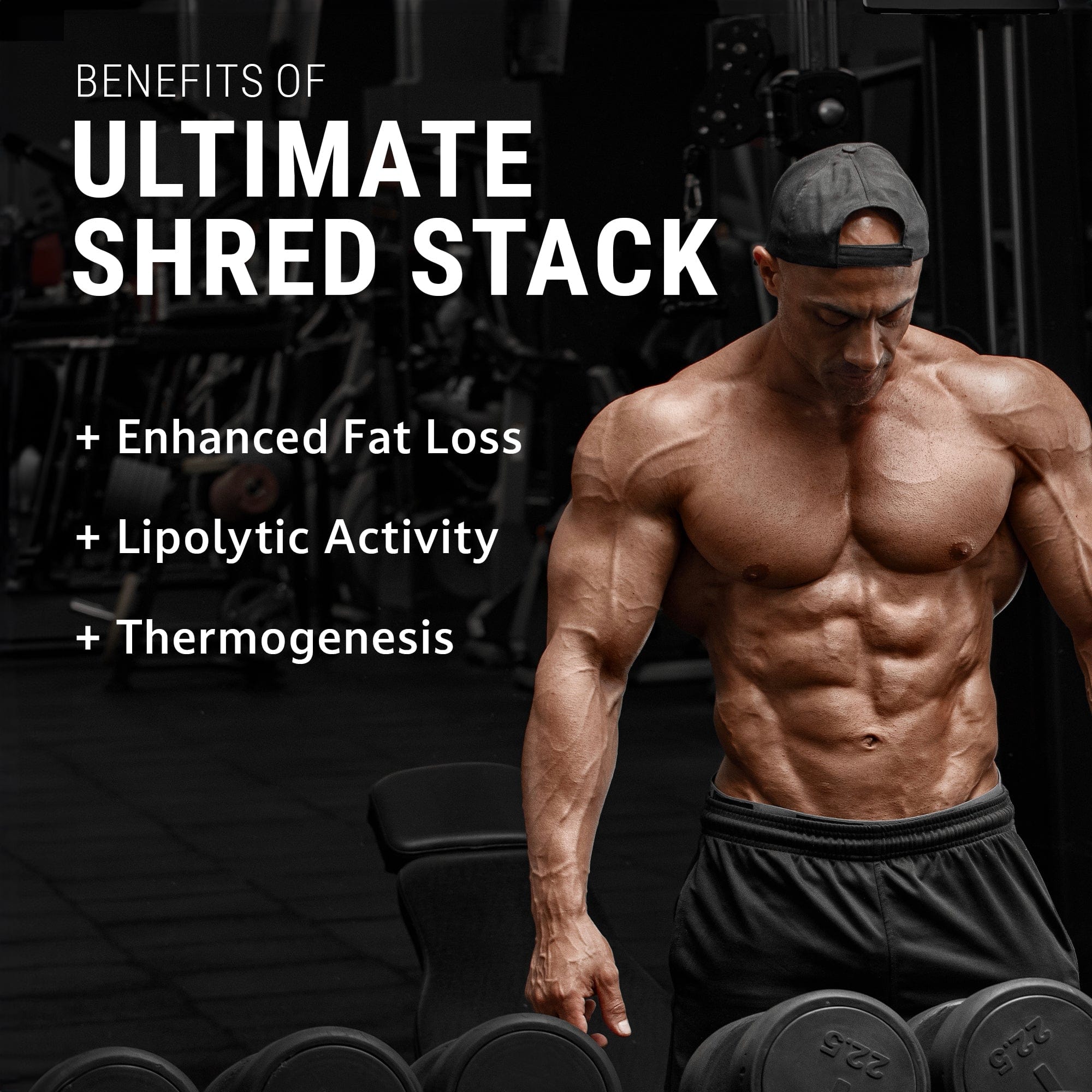 Stacks - Steel Supplements